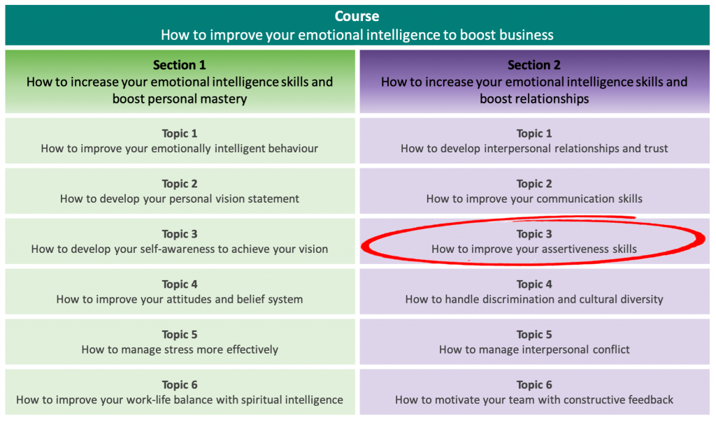 HOW TO IMPROVE YOUR ASSERTIVENESS SKILLS - From OK to Awesome